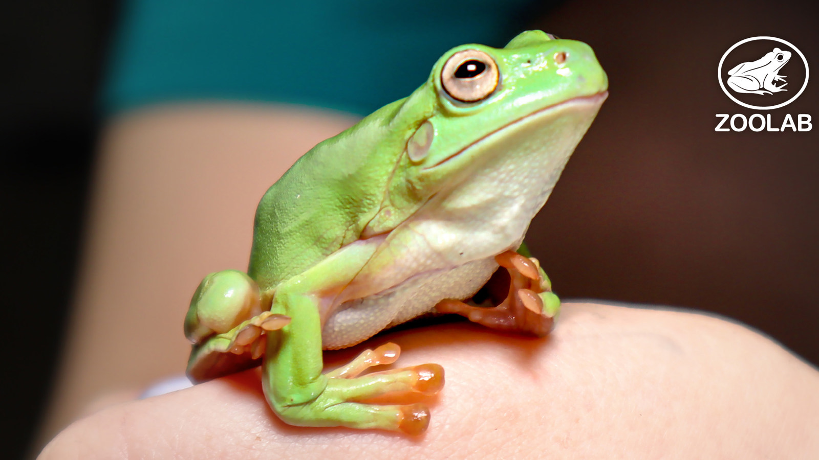 Events | What's On In Alnwick | Alnwick Castle